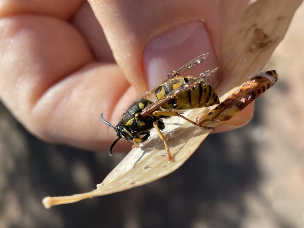 Blog - Sundew Solutions